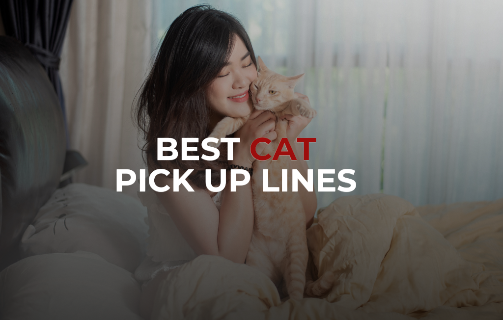 75+ Best Cat Pick Up Lines to Make Them Swoon - Rizz Lines Hub