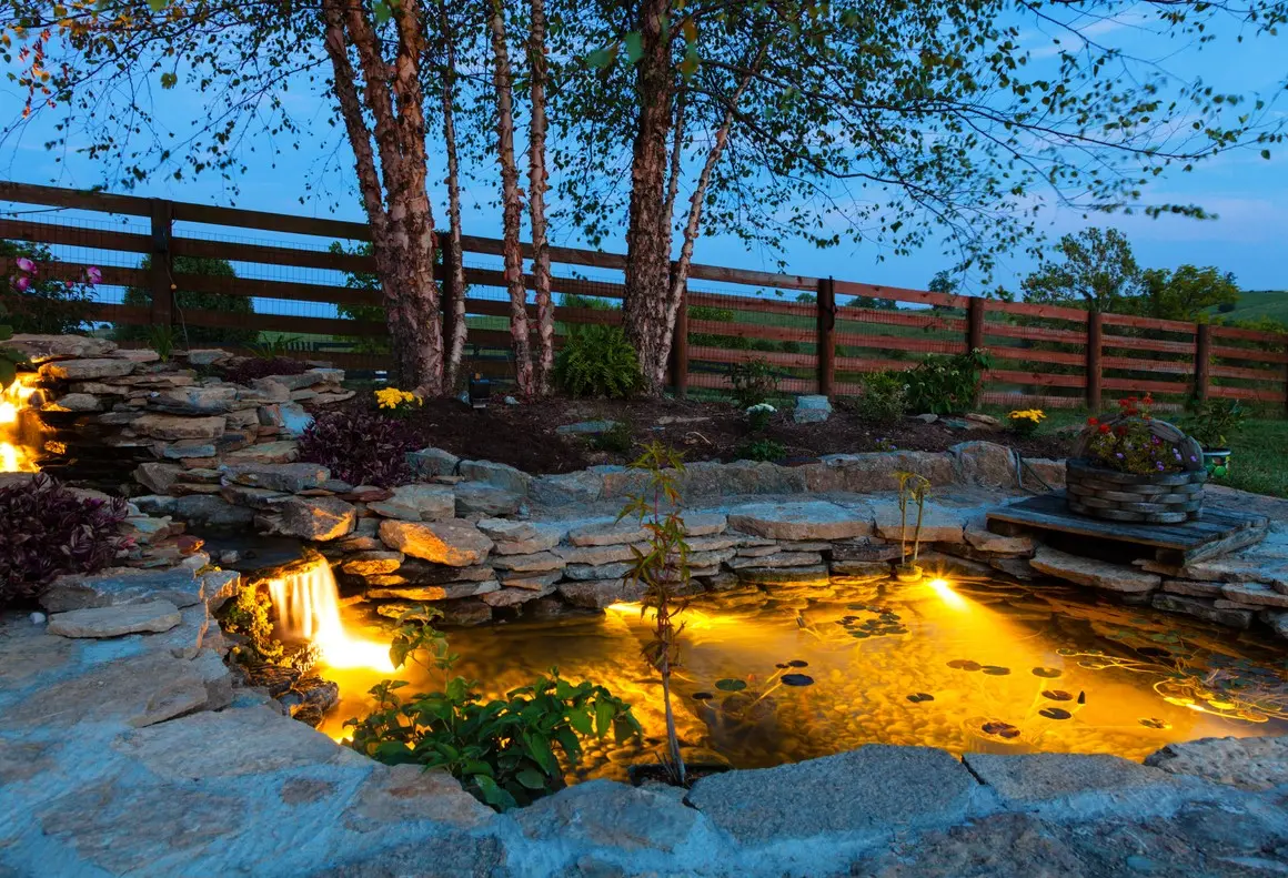 How to Illuminate Water Features: The Complete Guide to Landscape Lighting